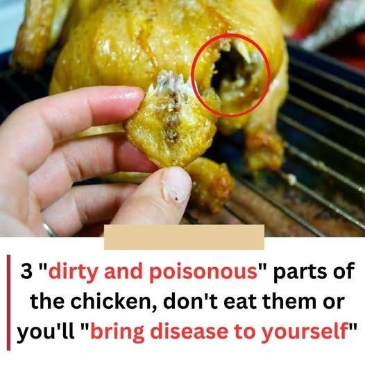 3 “dirty and poisonous” parts of the chicken, don’t eat them or you’ll ...